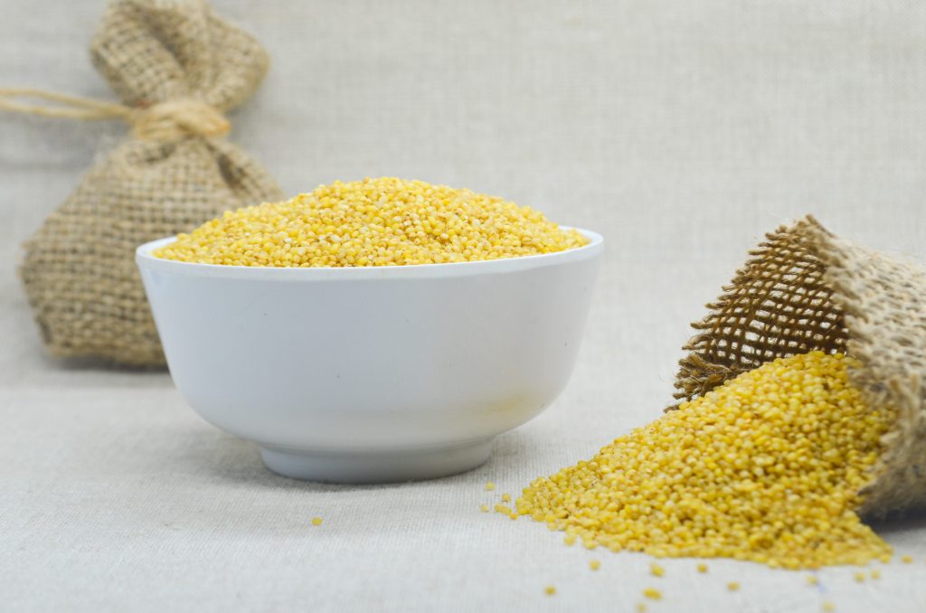 Buy foxtail millet - organic foxtail millet | Kangni millet